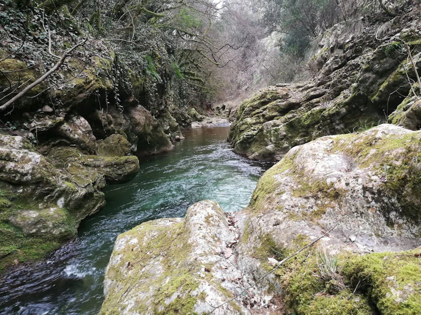 LA VALLE BORMIDA E IL SUO FIUME | Luogo FAI