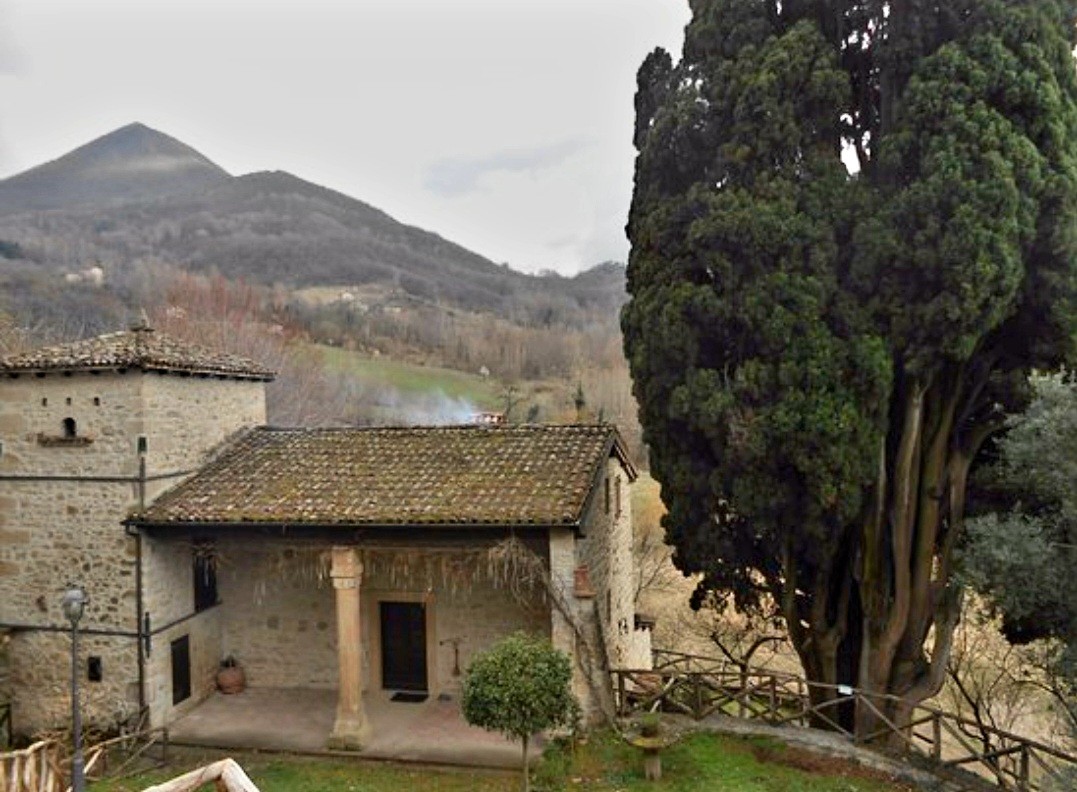 CIPRESSO DI 1000 ANNI A SCOLA | I Luoghi del Cuore - FAI