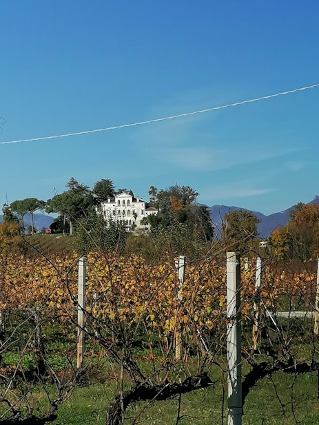 CHIESA DEI SANTI PIETRO E PAOLO DI CASTELLO ROGANZUOLO | I Luoghi del ...