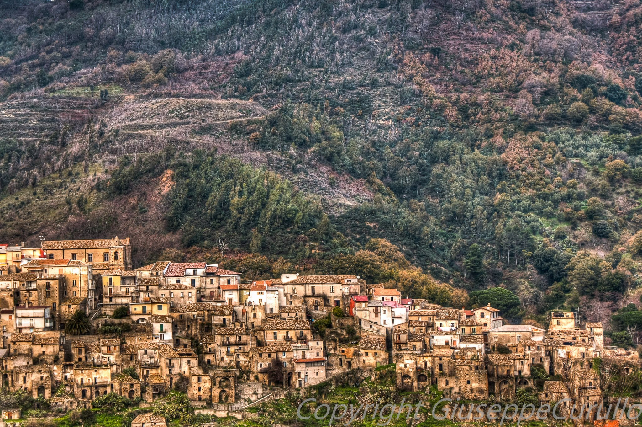 PETRIZZI | Luogo FAI