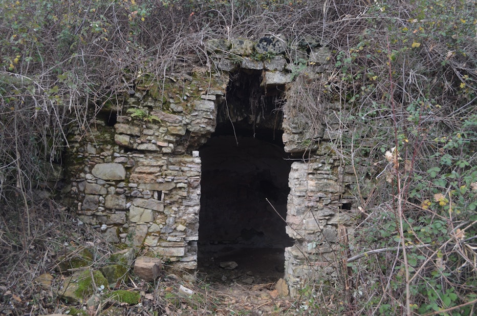 MONTE COCUZZO | I Luoghi del Cuore - FAI