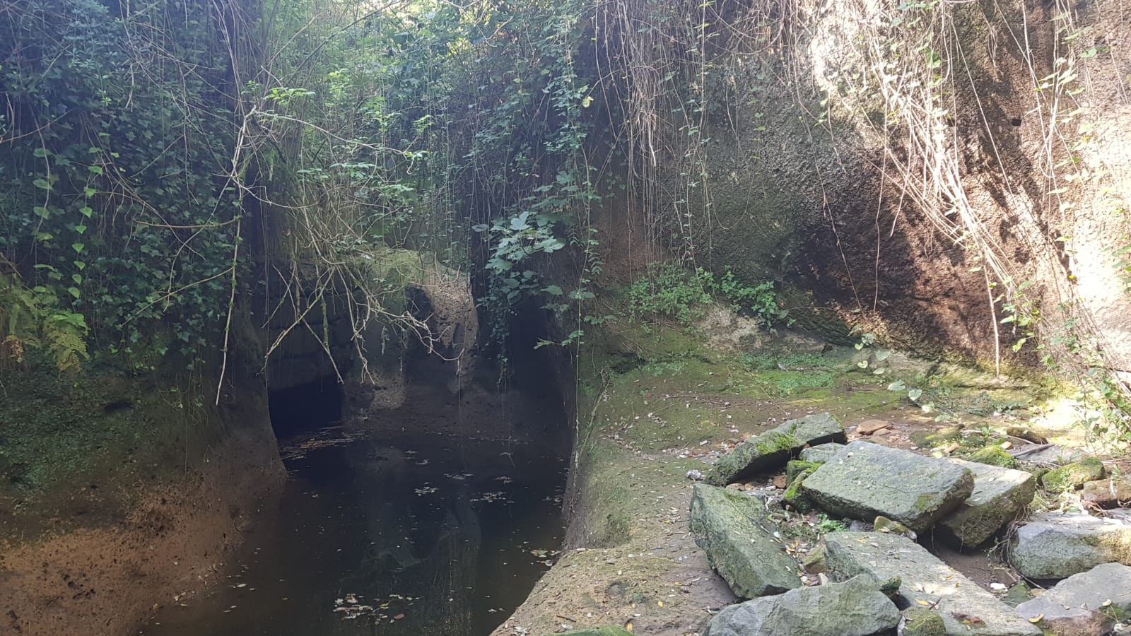 VALLONE S.ROCCO | I Luoghi del Cuore - FAI