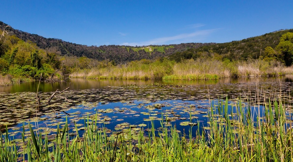 RISERVA NATURALE PARCO DEGLI ASTRONI | I Luoghi del Cuore - FAI