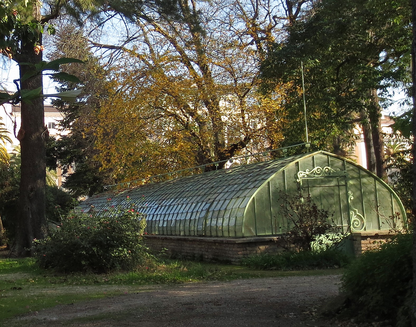 ORTO BOTANICO DI ROMA | I Luoghi del Cuore - FAI