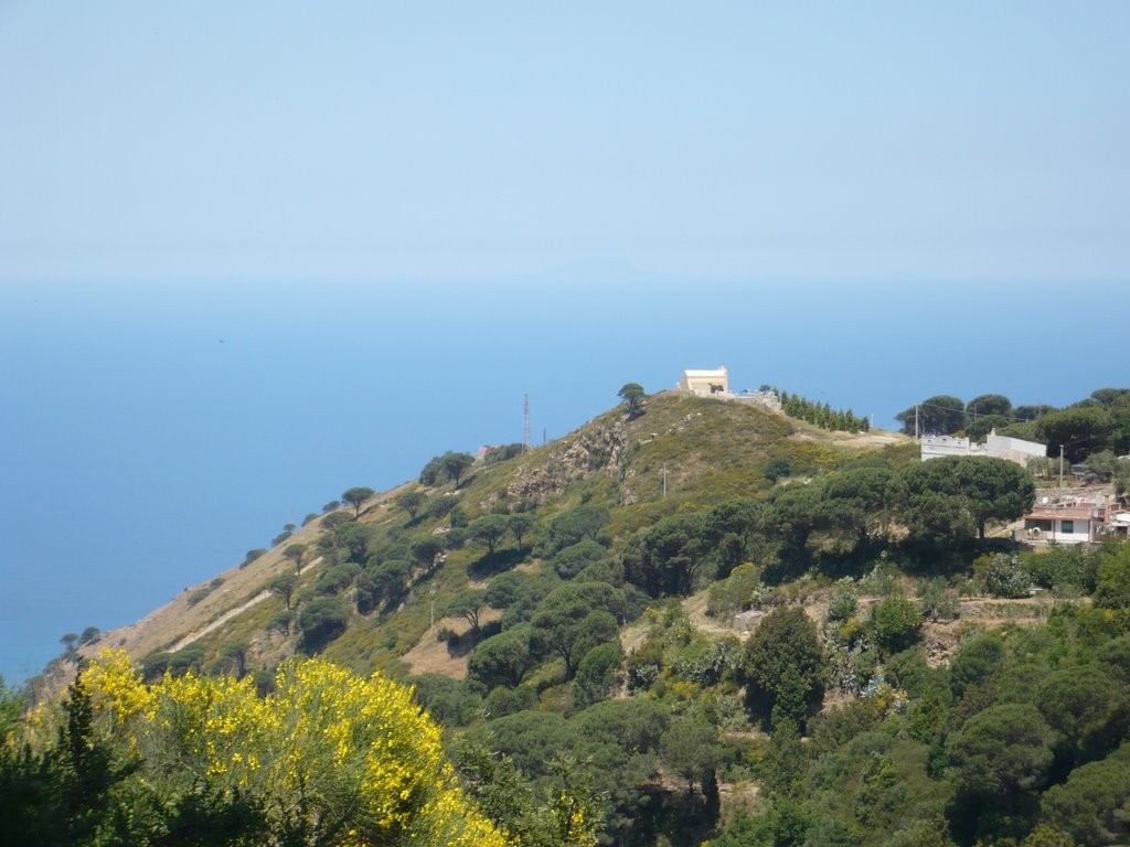 CASTANEA DELLE FURIE | I Luoghi del Cuore - FAI