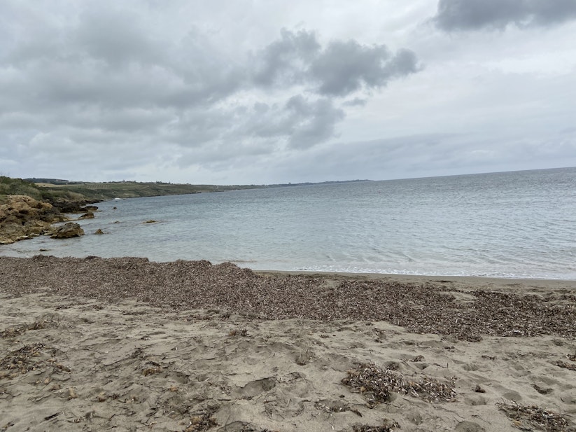 SPIAGGIA DI PRAIALONGA | I Luoghi del Cuore - FAI