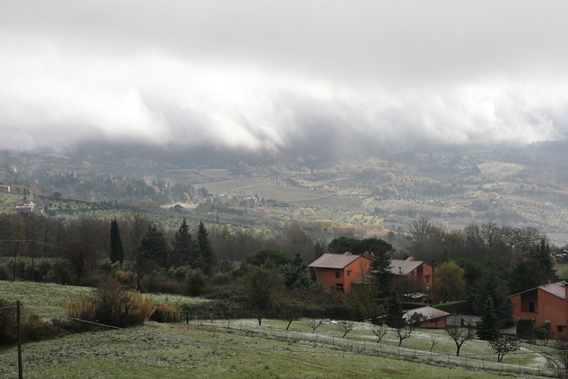 MONTE MORELLO | I Luoghi del Cuore - FAI