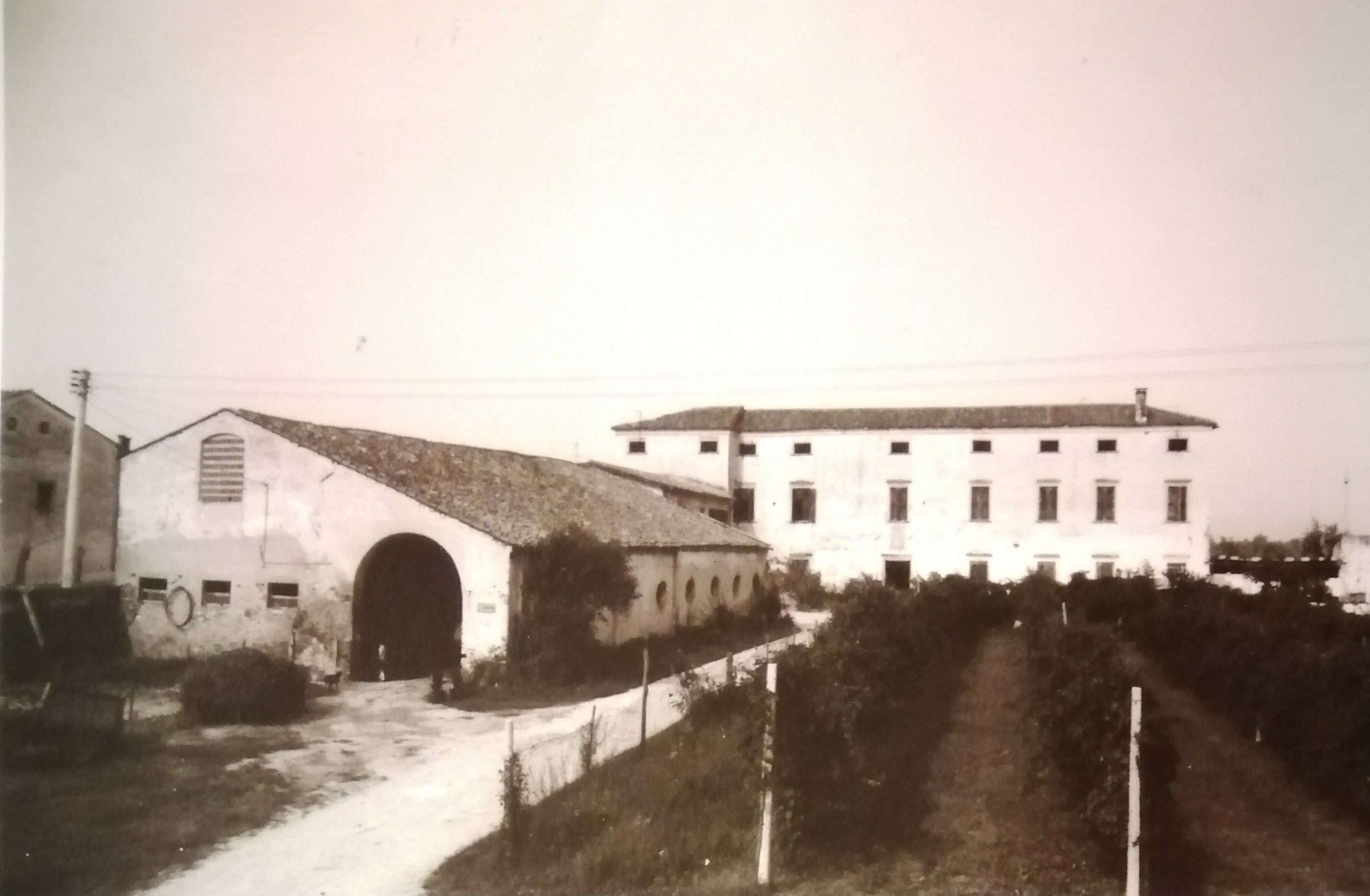 VILLA BARISON | I Luoghi del Cuore - FAI