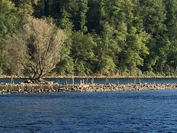 PESCHIERA DI DORBIE' O SAN MAURIZIO | Luogo FAI