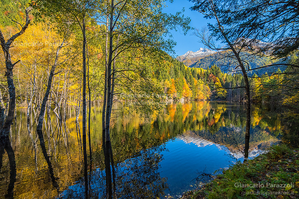 ALPEGGIO ANTILLONE | I Luoghi del Cuore - FAI