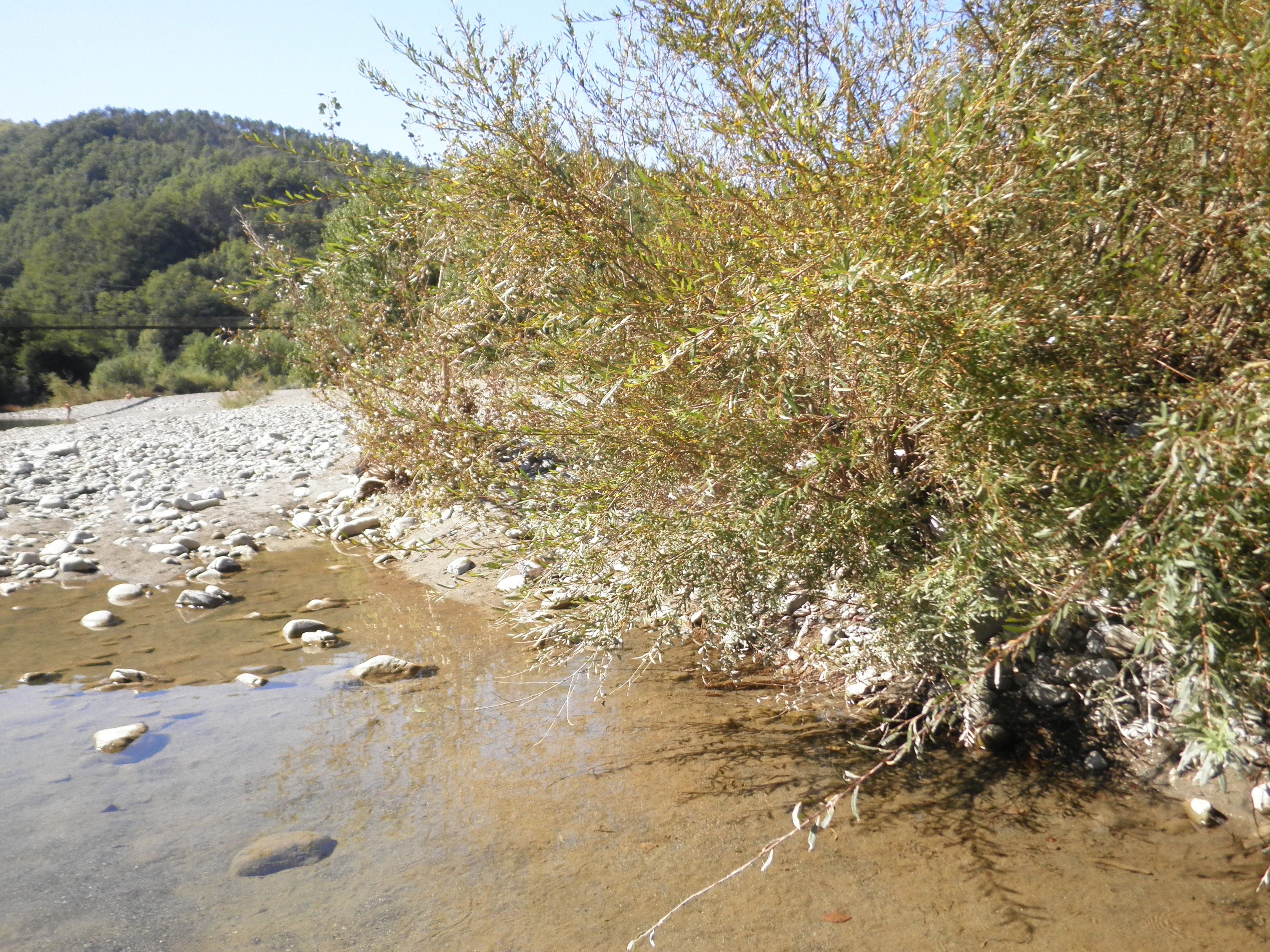 FIUME VARA | Luogo FAI