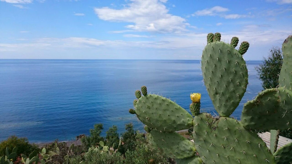 BORGO MEDIEVALE DI PALIZZI SUPERIORE | I Luoghi del Cuore - FAI