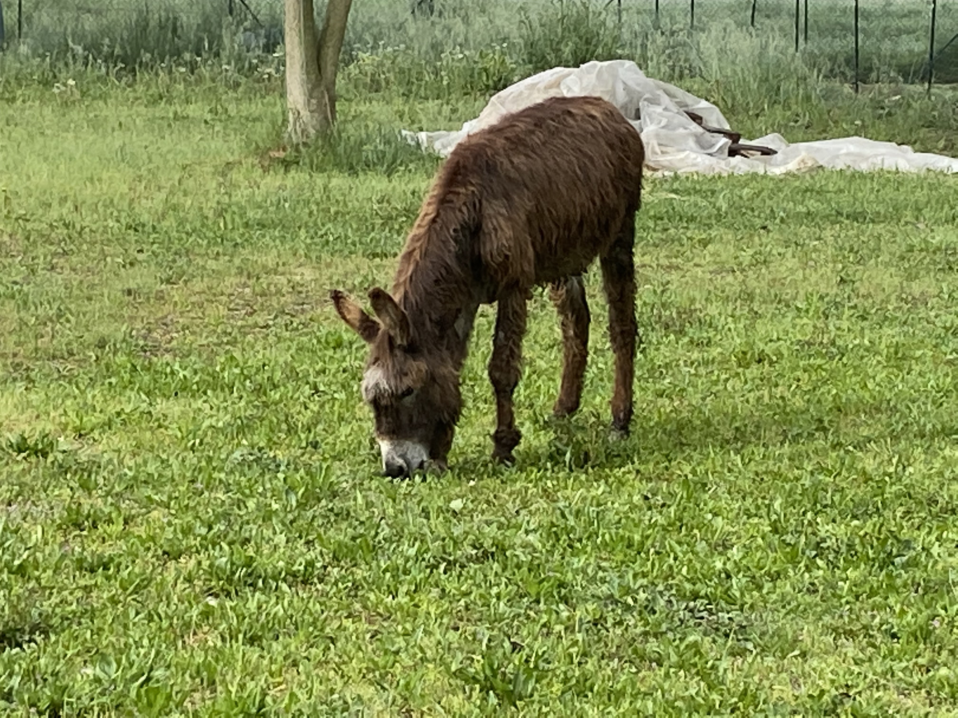 OASI LA RIZZA | Luogo FAI