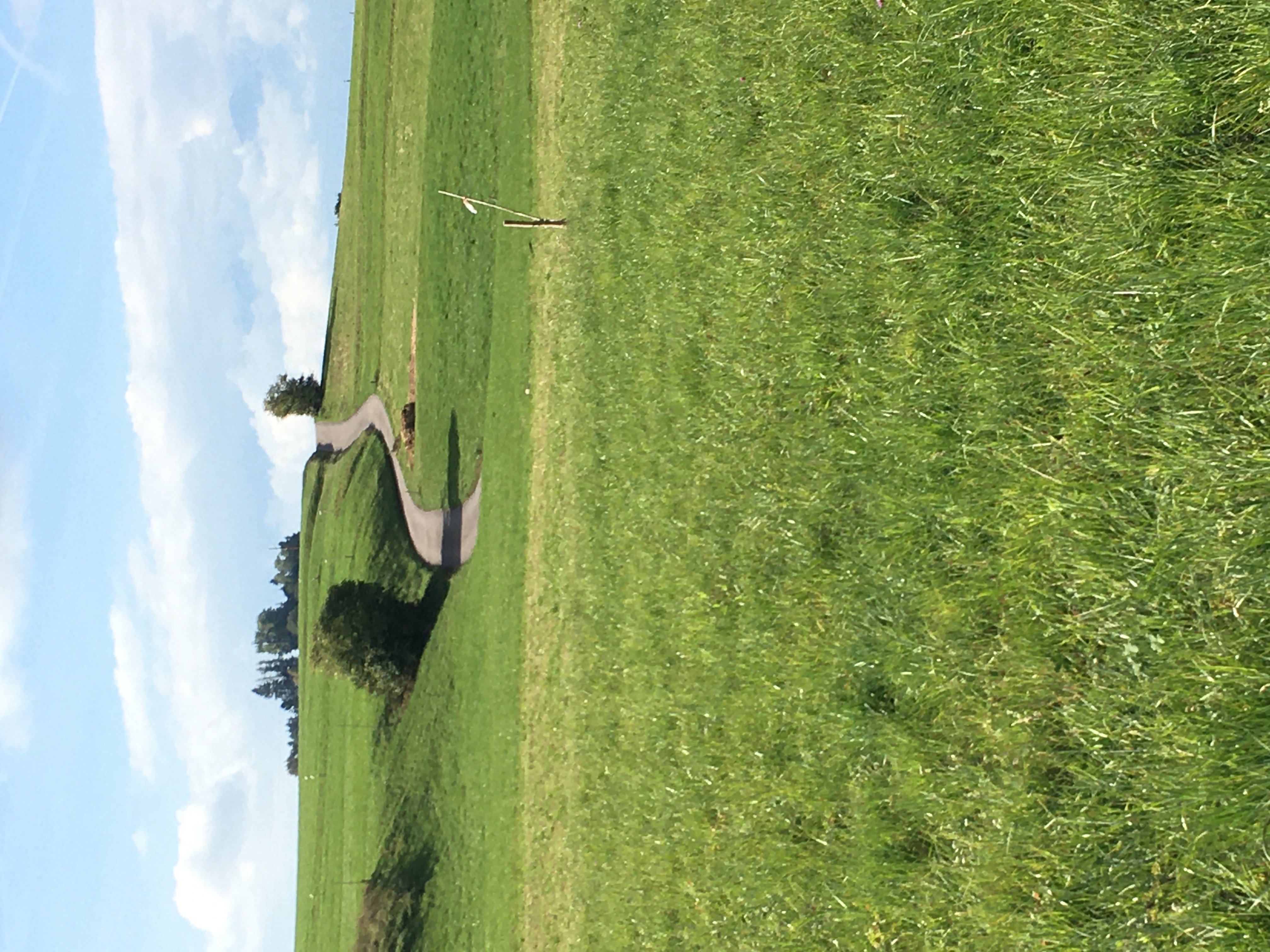 PRATI DI CAVARENO | I Luoghi del Cuore - FAI