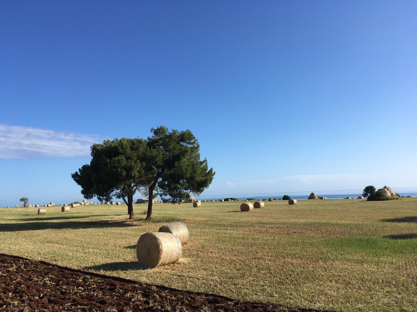 COSTA RIPAGNOLA | Luogo FAI