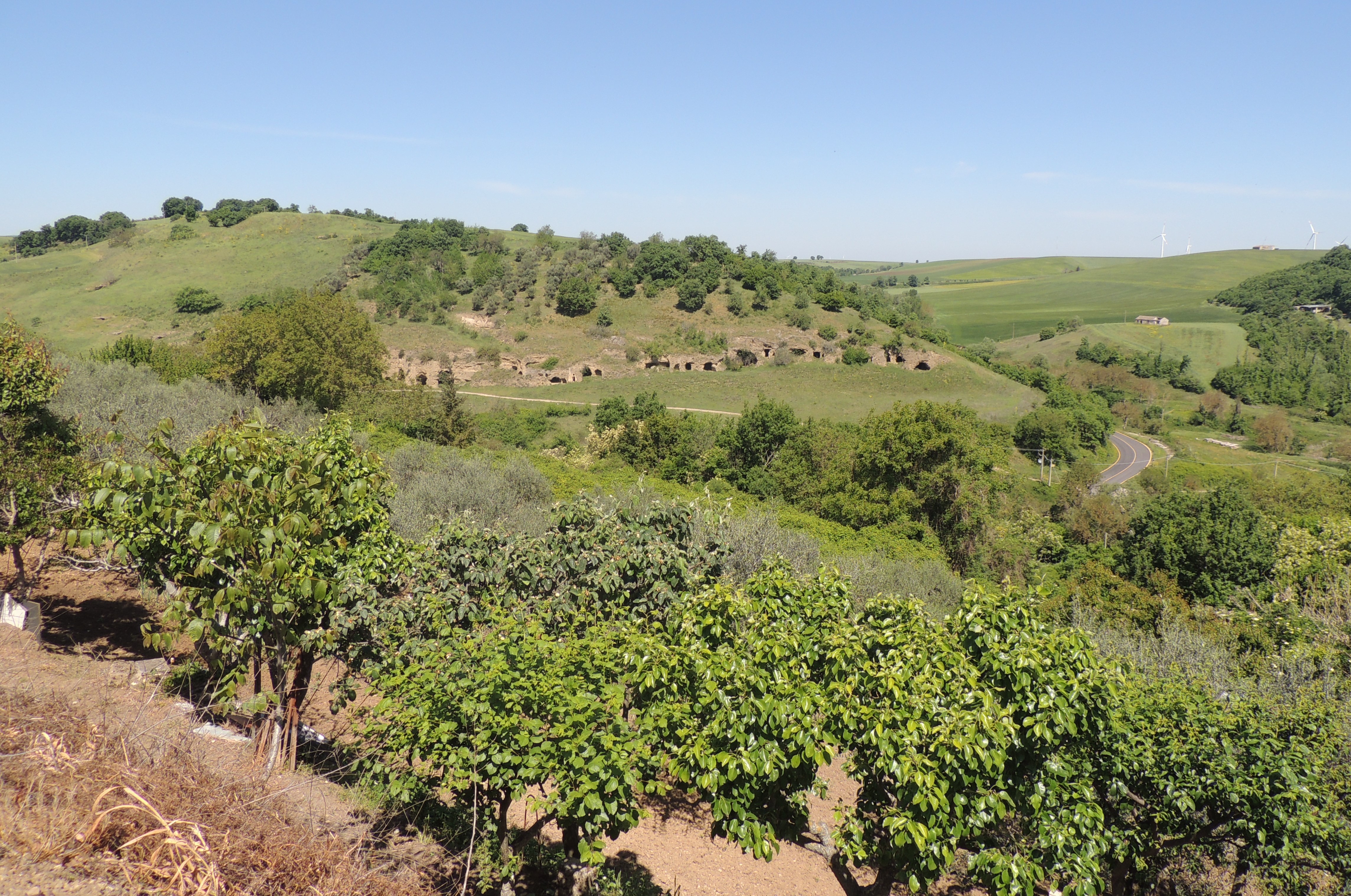 FONS BANDUSIAE | Luogo FAI