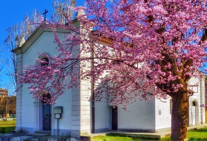 CHIESA ORATORIO DI SANTA MARIA MADDALENA A PRECOTTO | I Luoghi del ...