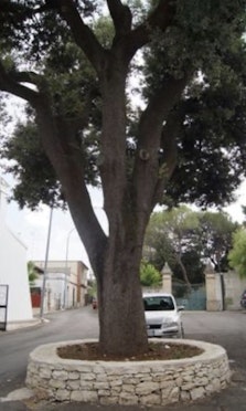 QUASANO | I Luoghi del Cuore - FAI