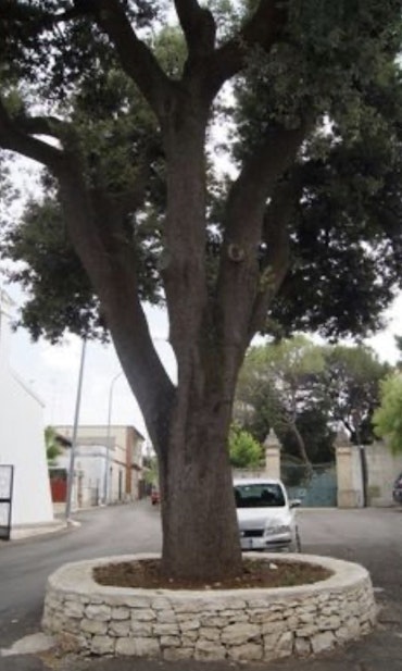 QUASANO | I Luoghi del Cuore - FAI