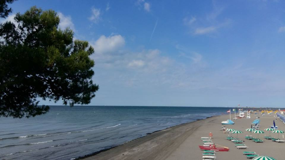 PINETA DI GRADO | I Luoghi del Cuore - FAI