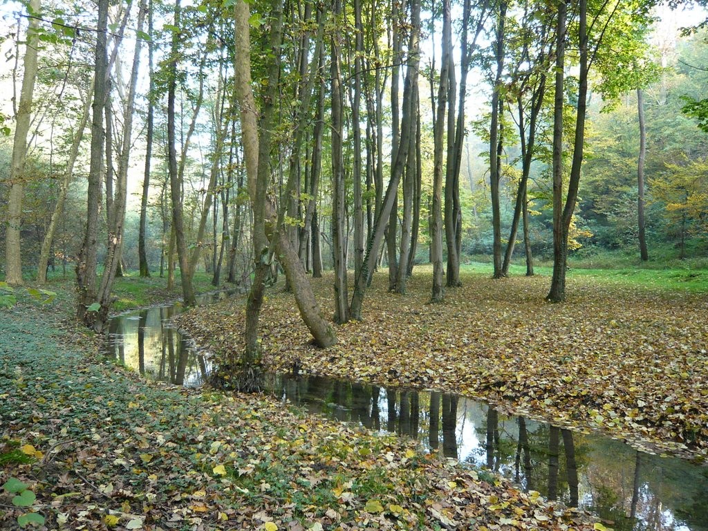 RISERVA NATURALE "FONTANA DEL GUERCIO" | Luogo FAI