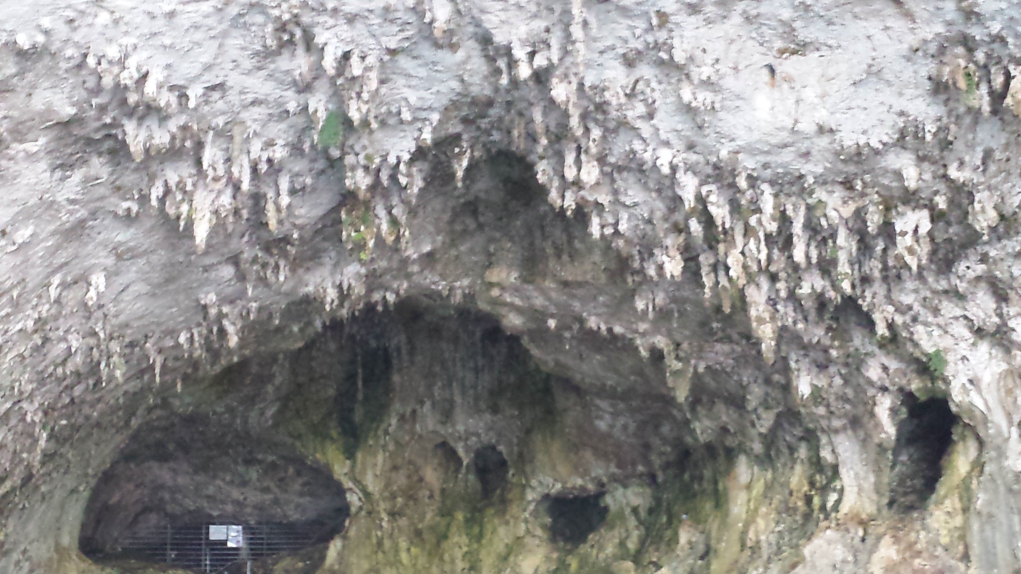 Grotta Erosiva