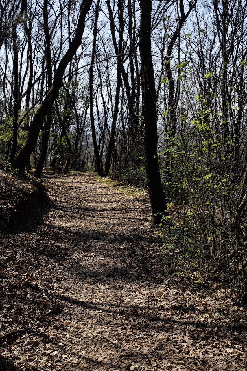 PARCO TORRETTA DI PORCARI | I Luoghi del Cuore - FAI