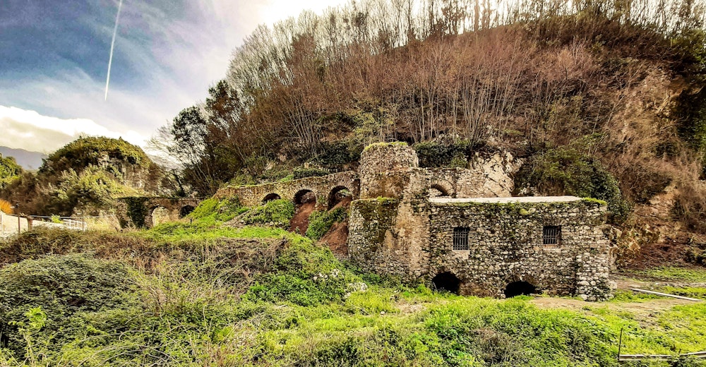 PARCO PINETA SACCHETTI | I Luoghi del Cuore - FAI