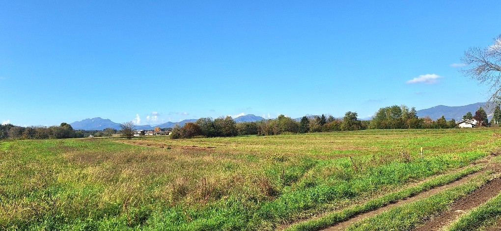 I CAMPI DI ALBIOLO | Luogo FAI