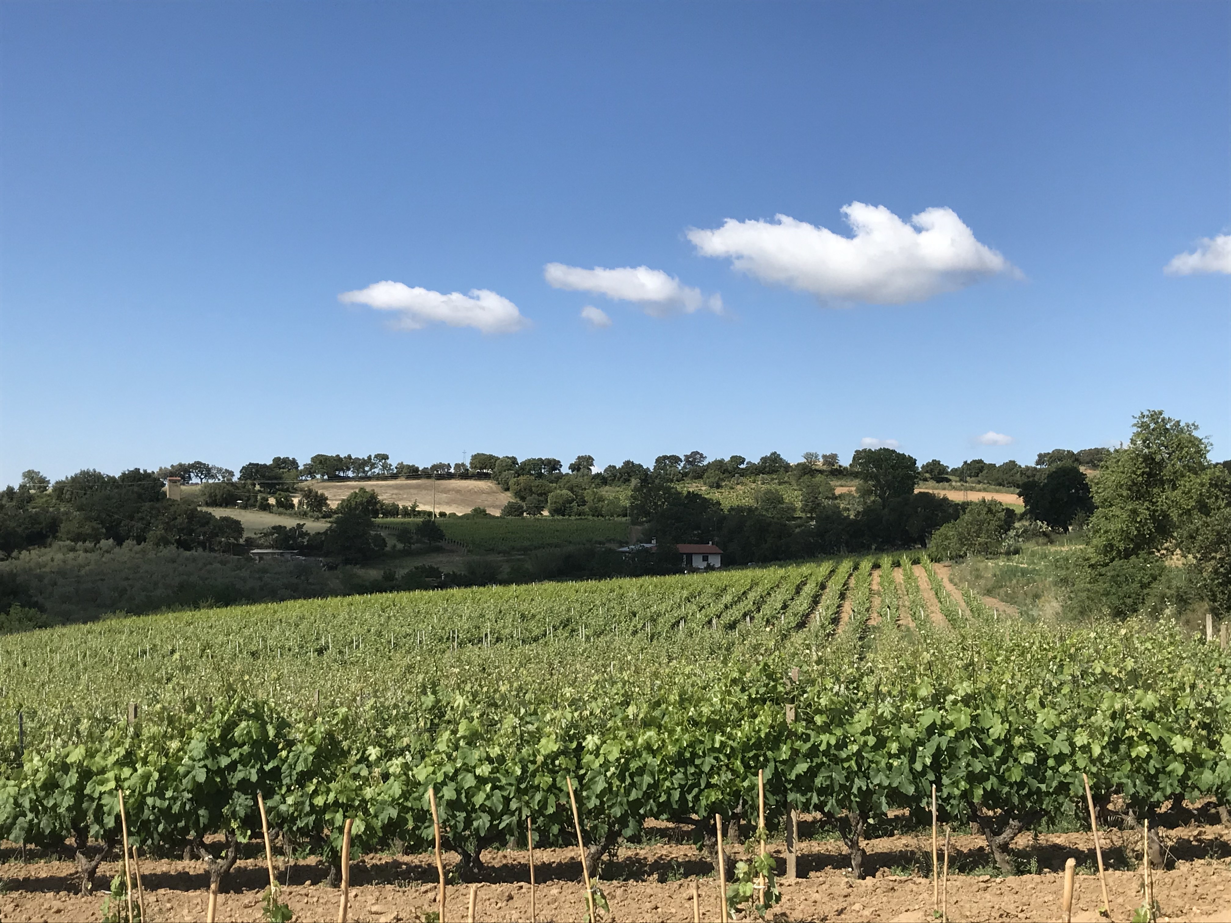 ATZARA | I Luoghi del Cuore - FAI